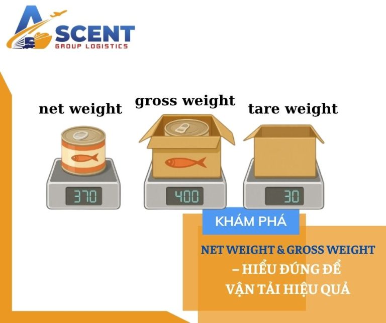 Net Weight và Gross Weight là gì? Hướng dẫn chi tiết cho doanh nghiệp ...
